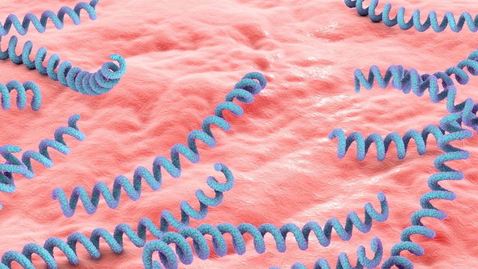 Sífilis: O Que Você Precisa Saber - Médico Infectologista